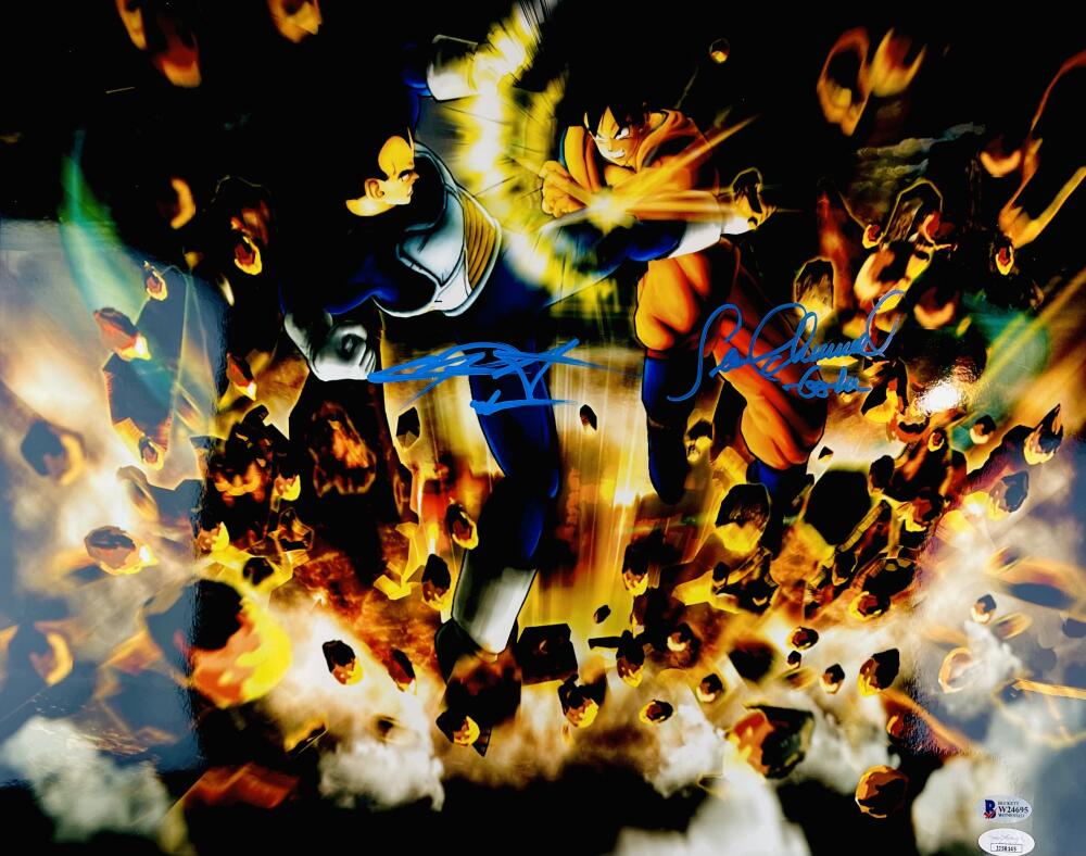 CHRIS SABAT SEAN SCHEMMEL SIGNED DRAGON BALL Z 16X20 METALLIC PHOTO BAS ...